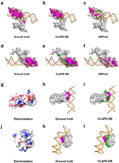 Figure 1 From Protein Dna Binding Sites Prediction Based On Pre Trained Protein Language Model