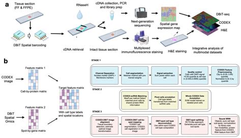 Integration Of Imaging Based And Sequencing Based Spatial Omics Mapping
