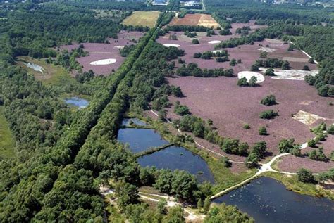 Natuurgebied De Teut Gemeente Zonhoven
