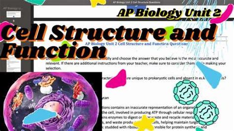 AP Biology Curriculum Unit Multiple Choice Cell Structure And Function