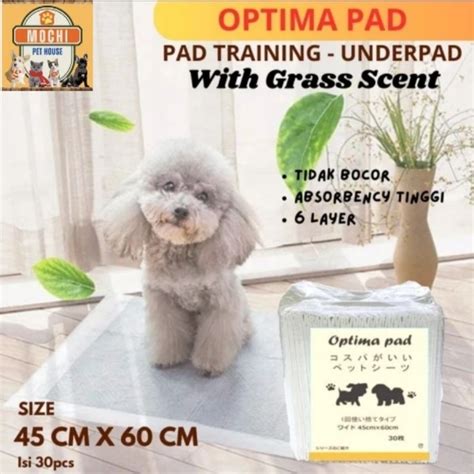 Jual Grass Underpad Alas Pipis Aroma Rumput Uk 45cm X 60cm 1 Pcs Shopee Indonesia