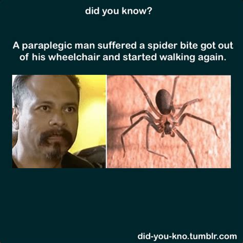 Spider Bite Cures Disabled Man Rwtf