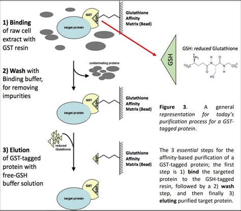 Solved The Elution Buffer Contained A High