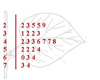 Room Turuturu Babe Stem And Leaf Graphs