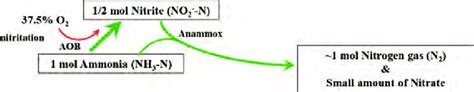 Overview Of A Standard Deammonification Process Download Scientific