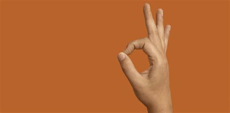 Orange Sign Language Lingvano Learn Sign Language On The App Store Orange Sign Language Lingvano Learn Sign Language On The App Store