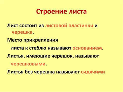 Морфология листа Формы листовых пластинок Жилкование презентация онлайн