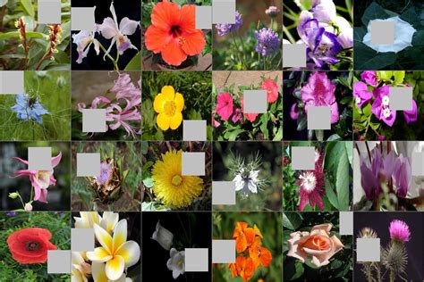 From Feature Space To Input Space