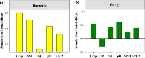 The Standardized Total Influence Direct Plus Indirect Influence Of