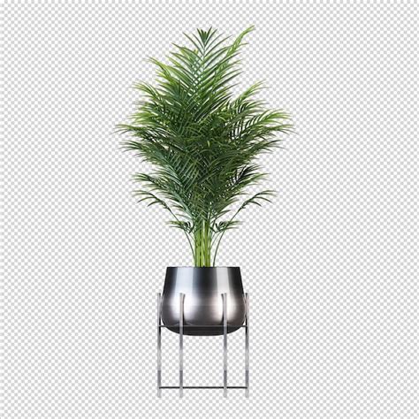 Premium Psd 3d Rendering Nature Object Tree Isolated