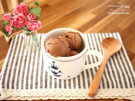 초코 아이스크림