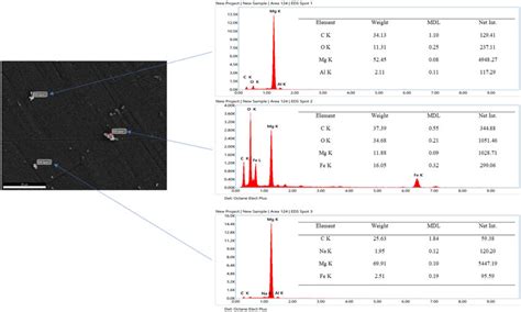 Eds Mapping Of White Spot At Three Different Locations Download Scientific Diagram