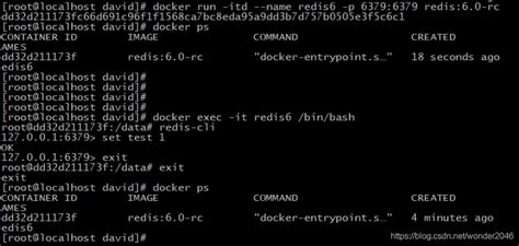 第八节 Centos环境使用docker安装redis指南 参码踪