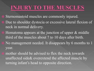Birth Injuries Pptx