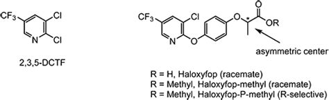 Synthesis And Application Of Trifluoromethylpyridines As A Key