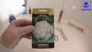 Капуста цветная Парижанка: отзывы, описание сорта, фото, видео, отзывы ...