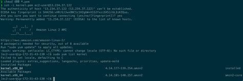 Amazon Linux 2 Whats New Hybridskill