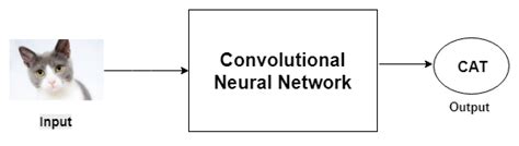 Capsule Networks Theailearner