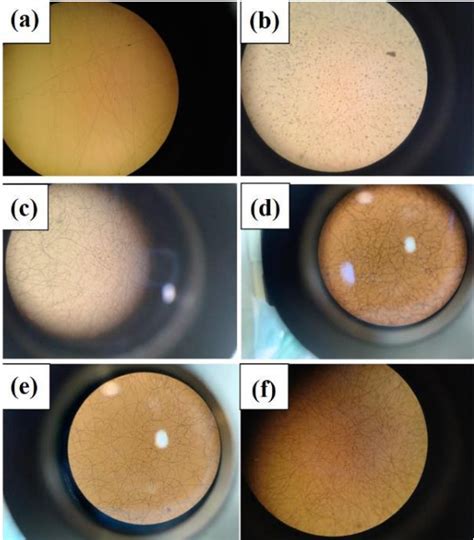 Table 1 From Fabrication Of Polyvinyl Alcohol Graphene Nanosheet