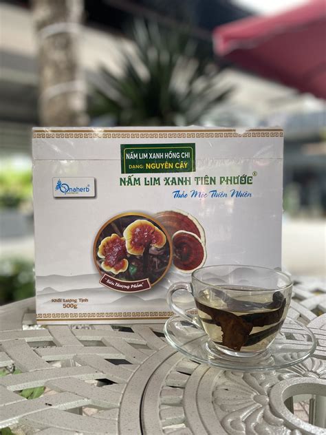 Nấm Lim Xanh Tiên Phước Hỗ Trợ điều Trị Ung Thư Nội Mạc Tử Cung CÔng Ty DƯỢc Phaco