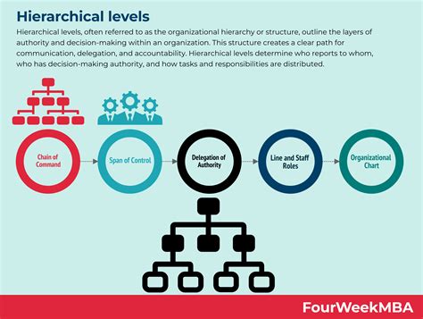 hierarchical levels fourweekmba