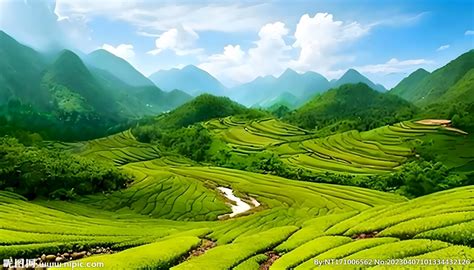 梯田田园风光设计图 自然风光 自然景观 设计图库 昵图网