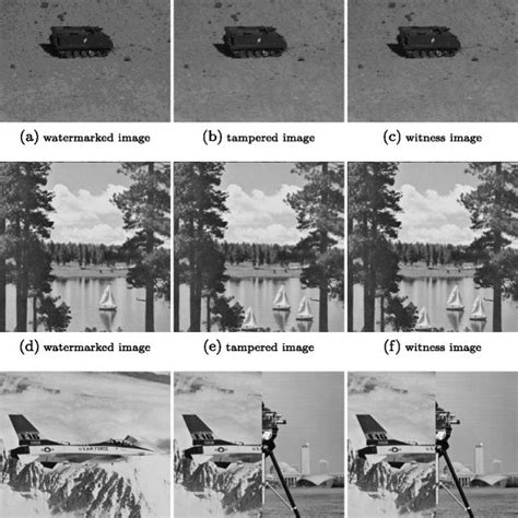 Periodic Phenomenon Of Arnolds Cat Map Download Scientific Diagram