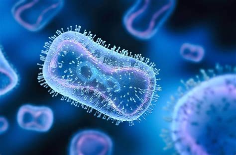 Monkeypox Mutations Cause Virus To Spread Rapidly Evade Drugs And