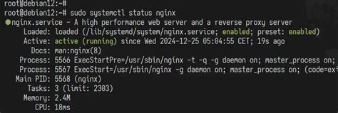 how to install jupyter notebook with nginx proxy on debian 12