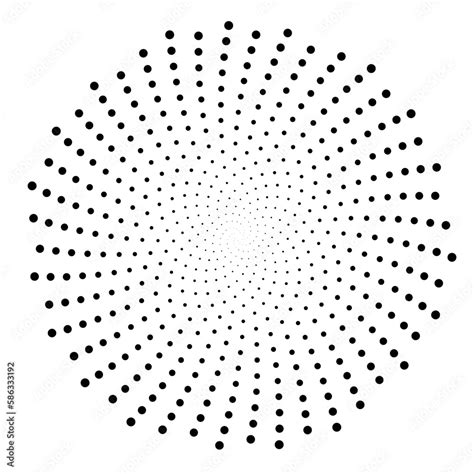 Fibonacci Spiral Patterns In Vector Mathematical Morphology Visualization Of Phyllotaxis
