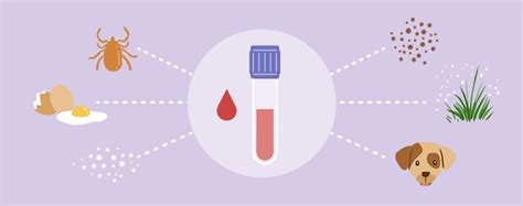 Five Facts About Rast Testing For Allergies Allergy Insider