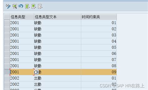 Sap Hcm 重叠时间信息类型的系统反应检查hcm 信息类型 时间限制 Csdn博客