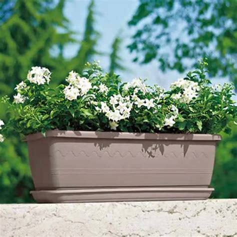 Inis Maruplast Internacional