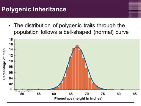 Polygenic Traits Biology