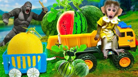 برنامه کودک بچه میمون بچه میمون بازیگوش بچه میمون جدید