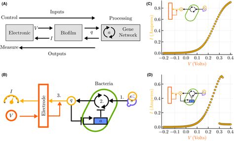 An Overview Of The Electrogenetic Toggle Switch Design A Diagram Download Scientific Diagram