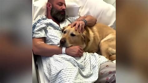 Підтримка від вірного чотирилапого друга Відданість собак безмежна Вони для нас сторінка у