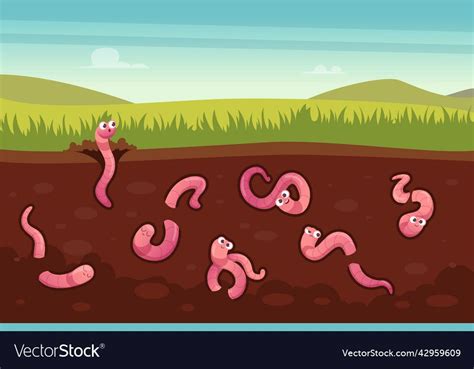 Worms In Ground Sliced View Vector Image