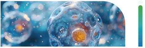 Novogene 10x Single Cell Rna Sequencing Project Experience Showcase Series 2