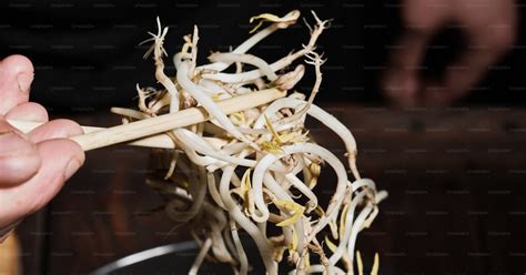 흰 콩나물을 잡고 쇠고기를 곁들인 포보 한 그릇에 추가하는 요리사의 손을 닫습니다 사진 Unsplash의 콩나물 이미지