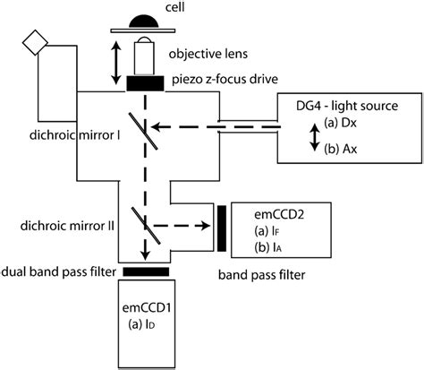 Diagram Of The 4d Fret Microscope The 4d Fret Microscope Was An Download Scientific Diagram