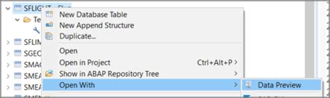 Learn About The ABAP Data Dictionary SAP Tutorials