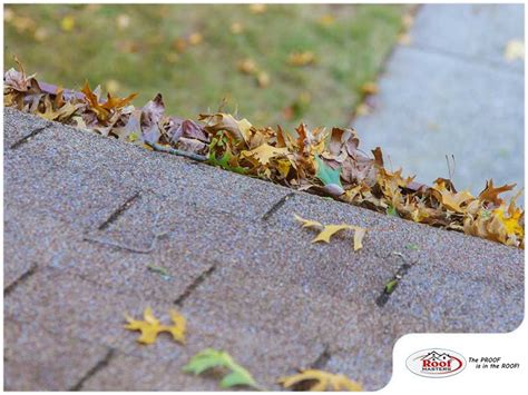 Gutter Maintenance Mistakes To Avoid
