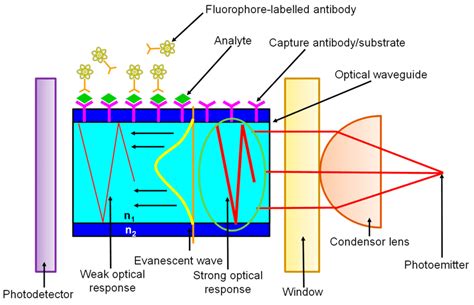 A Schematic Illustration Of Evanescent Wave Based Sensing N2