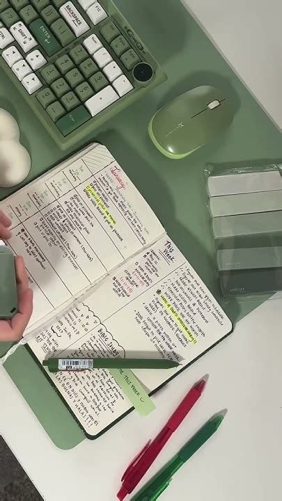 🗓️ Notion Notiontemplate Notionsetup Notionapp Notiontour