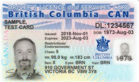 Drivers Licence Gender X A Good First Step Says Prof The Tyee