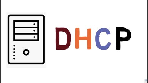 Dhcp Explained Dora Process R Ccnaw