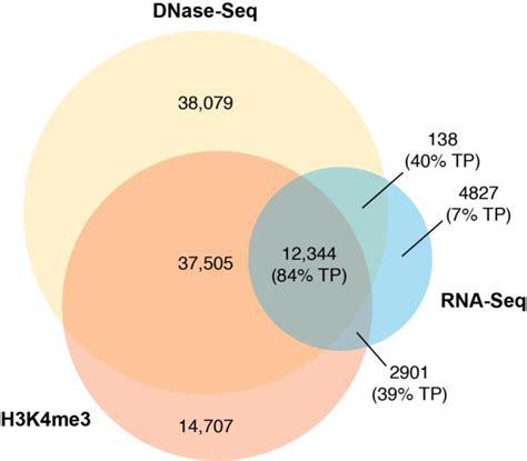 Corroborative Evidence For 5′ Ends Identified By Standard Rna Seq Venn