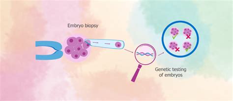 Non Invasive Pre Implantation Genetic Testing In Banjara Hills