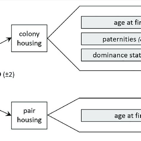 Experimental Approach For Details See Text Download Scientific Diagram